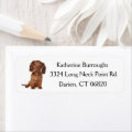 Brown Dachshund Puppy Dog Personalized Label | Zazzle