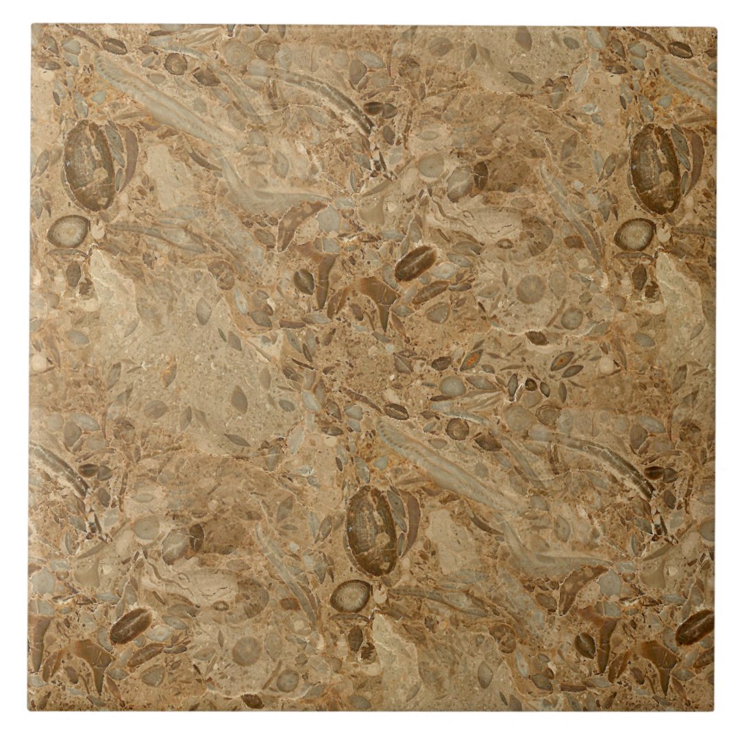 Brown Marble Fossil Look Tile | Zazzle