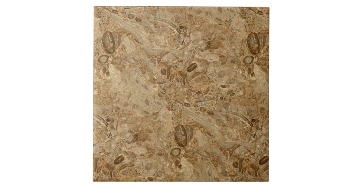 Brown Marble Fossil Look Tile | Zazzle