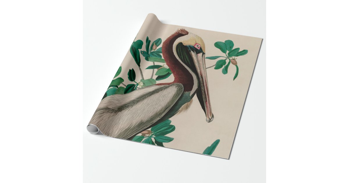 Brown Pelican Birds of America Audubon Print Wrapping Paper | Zazzle