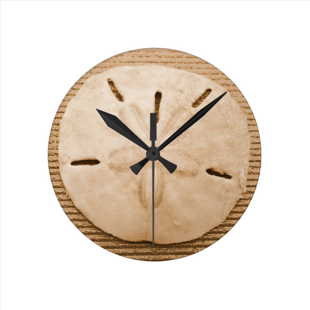 Brown Sand Dollar Round Clock | Zazzle