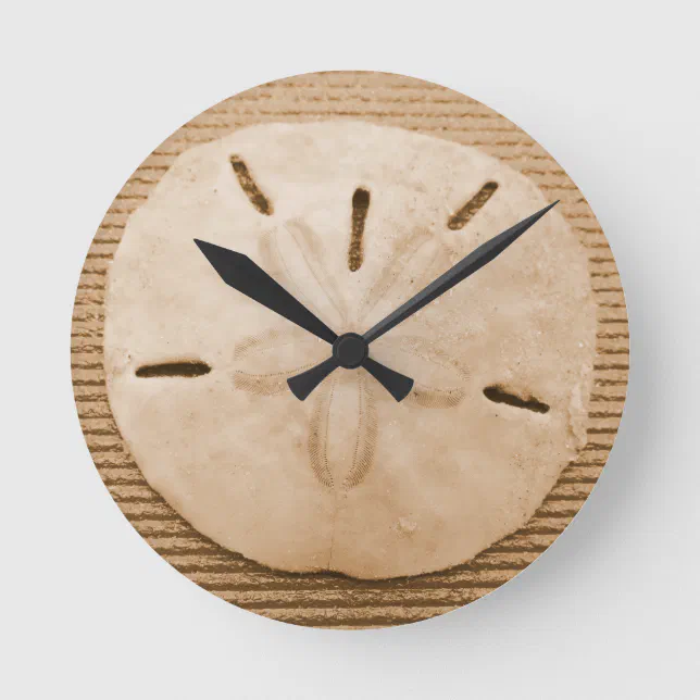 Brown Sand Dollar Round Clock | Zazzle