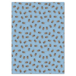 Brown Stink Bugs on Light Blue Patterned Tissue Paper | Zazzle
