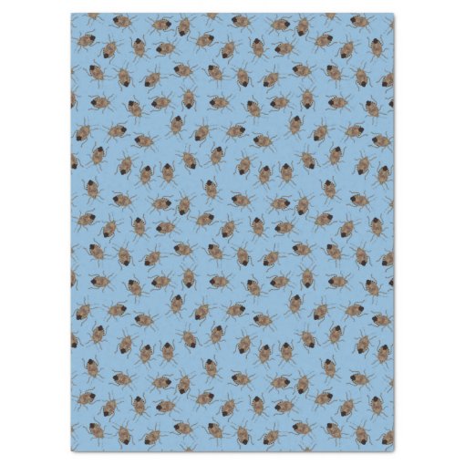 Brown Stink Bugs on Light Blue Patterned Tissue Paper | Zazzle