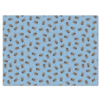 Brown Stink Bugs on Light Blue Patterned Tissue Paper | Zazzle
