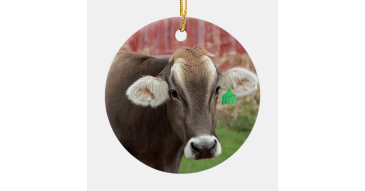 Brown Swiss Cow Ceramic Ornament | Zazzle