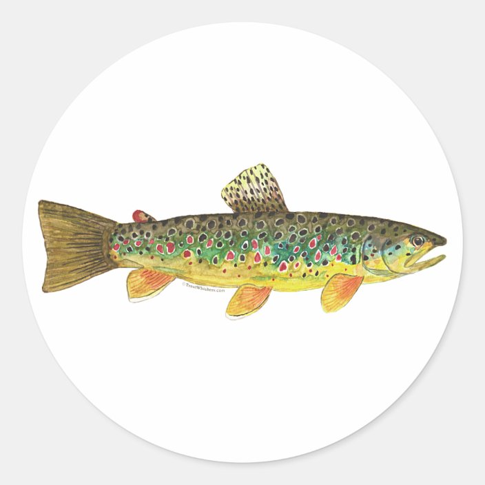 Brown Trout Fishing Classic Round Sticker | Zazzle