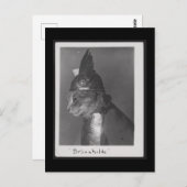 Brunnhilde kitty postcard | Zazzle