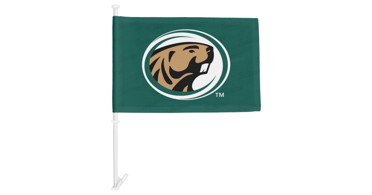 BSU Watermark Car Flag | Zazzle