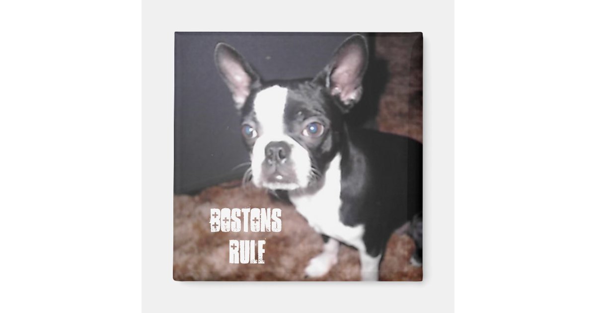 BT Magnet | Zazzle