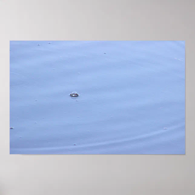 Bubble in Pond Poster | Zazzle