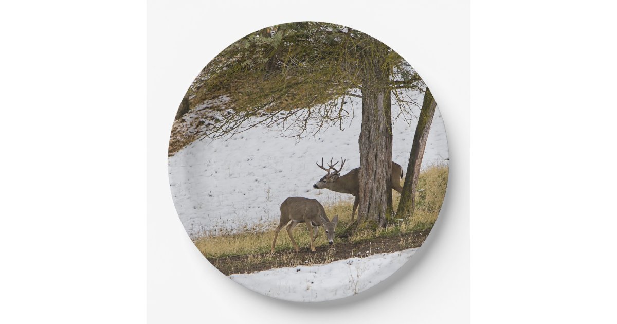 BUCK AND DOE PAPER PLATES | Zazzle