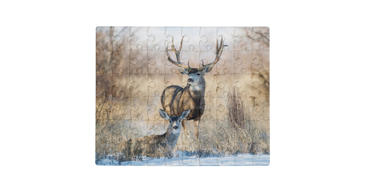 Buck Couple | Mule Deer Jigsaw Puzzle | Zazzle