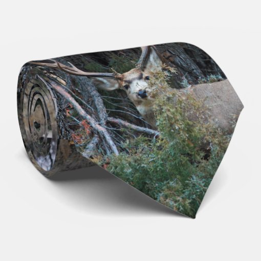 Buck deer collage tie | Zazzle