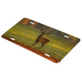 Buck Deer Hunting License Plate | Zazzle
