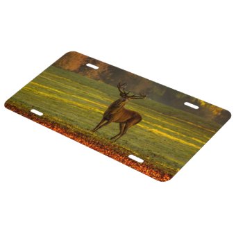 Buck Deer Hunting License Plate | Zazzle