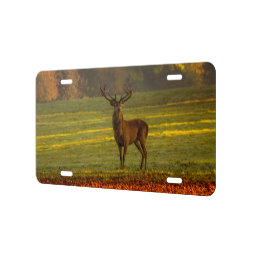 Buck Deer Hunting License Plate | Zazzle