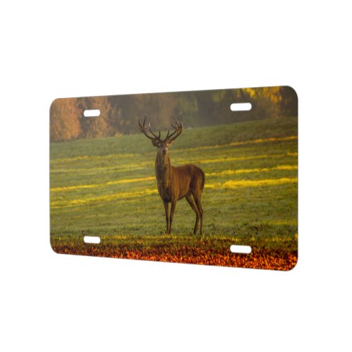 Buck Deer Hunting License Plate | Zazzle