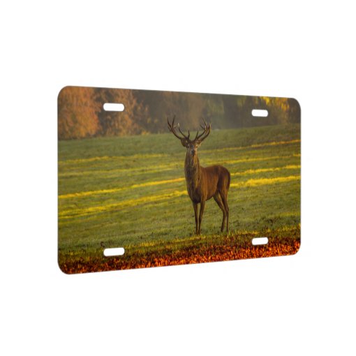 Buck Deer Hunting License Plate | Zazzle