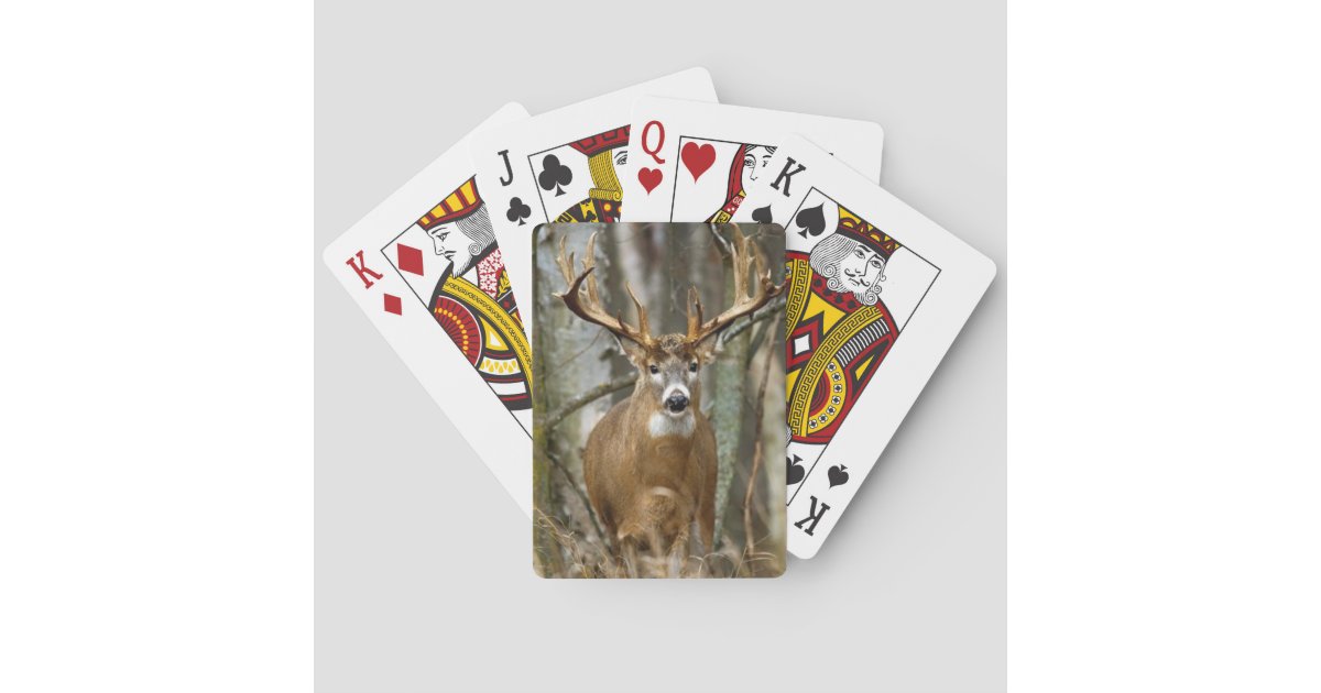 Buck Deer Playing Cards | Zazzle