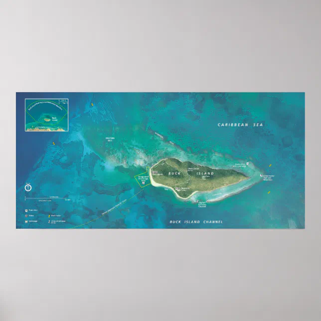 Buck Island Reef National Monument Poster | Zazzle