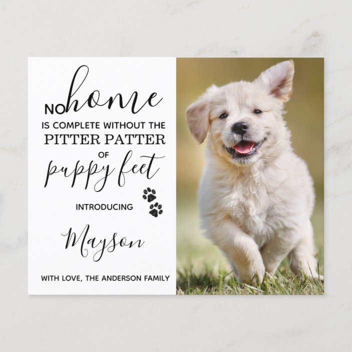 Budget Custom Photo New Pet Puppy Announcement | Zazzle.com