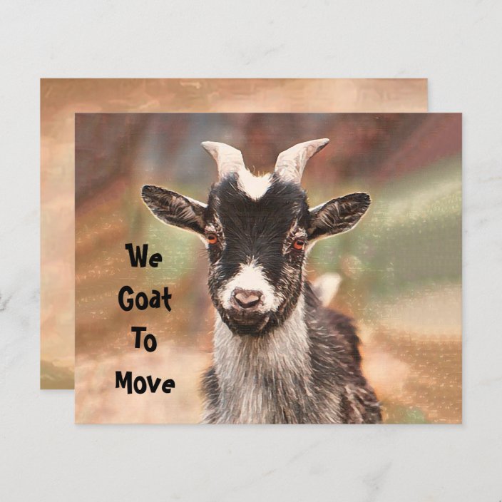 Budget Cute Goat Moving New Address | Zazzle.com