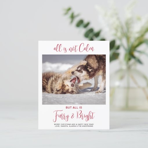 Budget Funny Pet Furry & Bright Photo Christmas | Zazzle