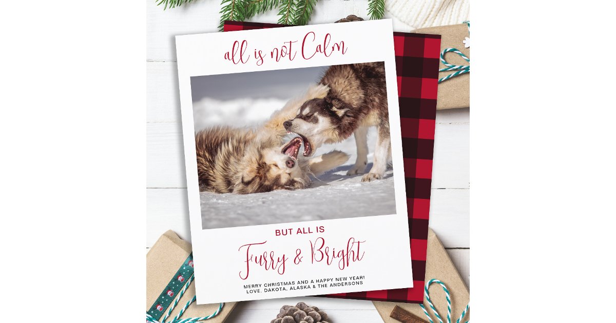 Budget Funny Pet Furry & Bright Photo Christmas | Zazzle