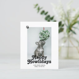 BUDGET Happy Howlidays Pet Dog Christmas Card | Zazzle