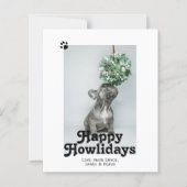 BUDGET Happy Howlidays Pet Dog Christmas Card | Zazzle