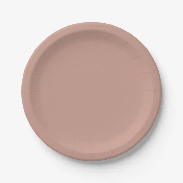 BUDGET Light Terracotta Monochrome WEDDING Paper Plates | Zazzle