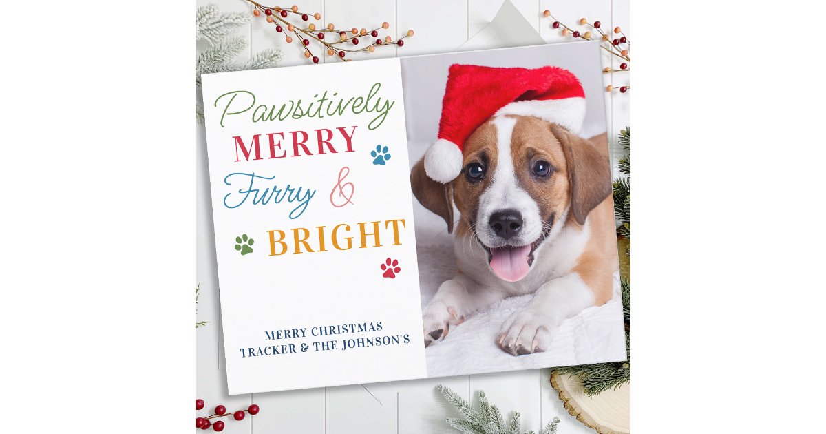 Budget Pet Photo Furry & Bright Dog Holiday Card | Zazzle