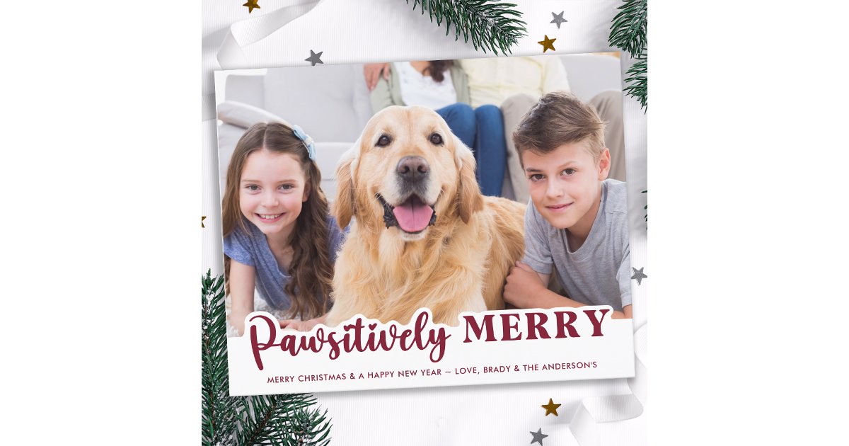 Budget Pet Photo Pawsitively Merry Holiday Card | Zazzle