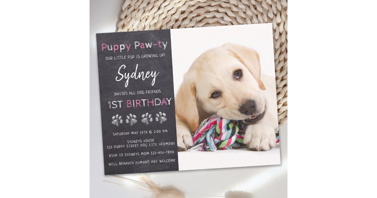Budget Puppy Pawty Chalkboard Pink Dog Birthday | Zazzle