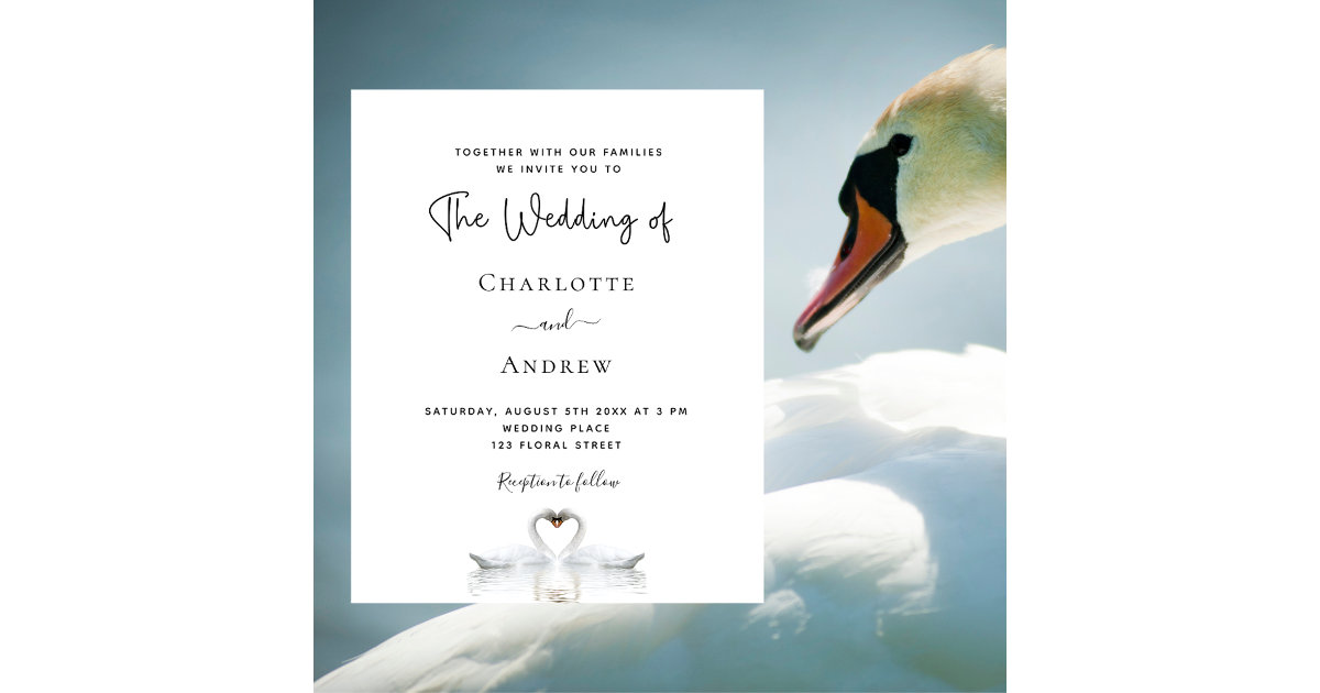 Budget swan couple white wedding invitation | Zazzle