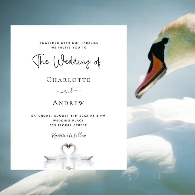 Budget swan couple white wedding invitation | Zazzle
