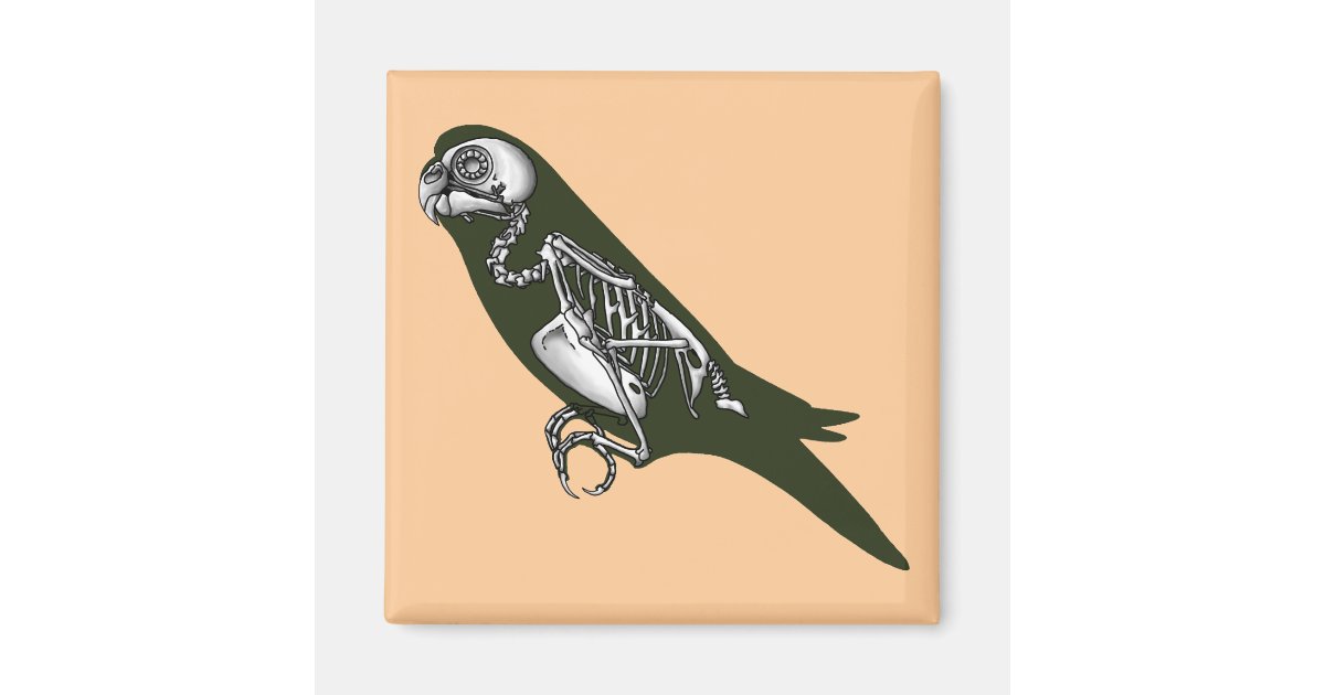 Budgie skeleton magnet | Zazzle