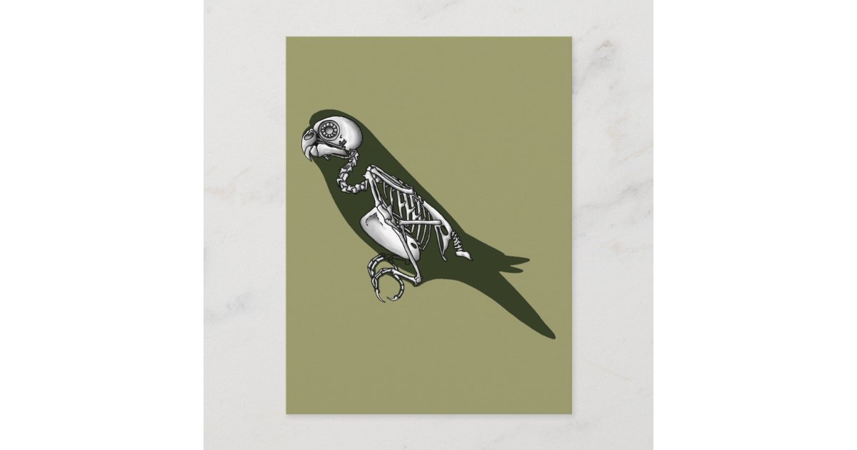 Budgie skeleton postcard | Zazzle