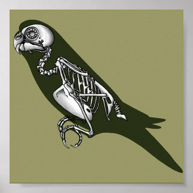 Budgie skeleton poster | Zazzle