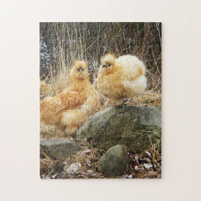 Buff silkie chickens jigsaw puzzle | Zazzle
