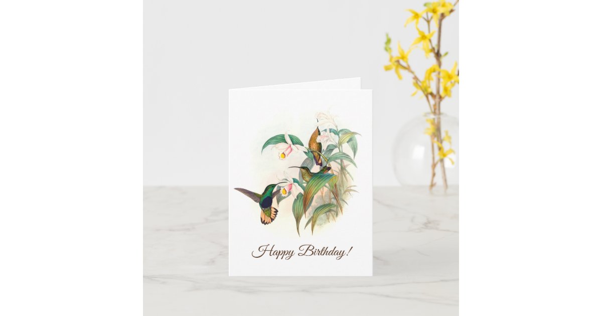 Buff-tailed Velvet-breas, Happy birthday Card | Zazzle