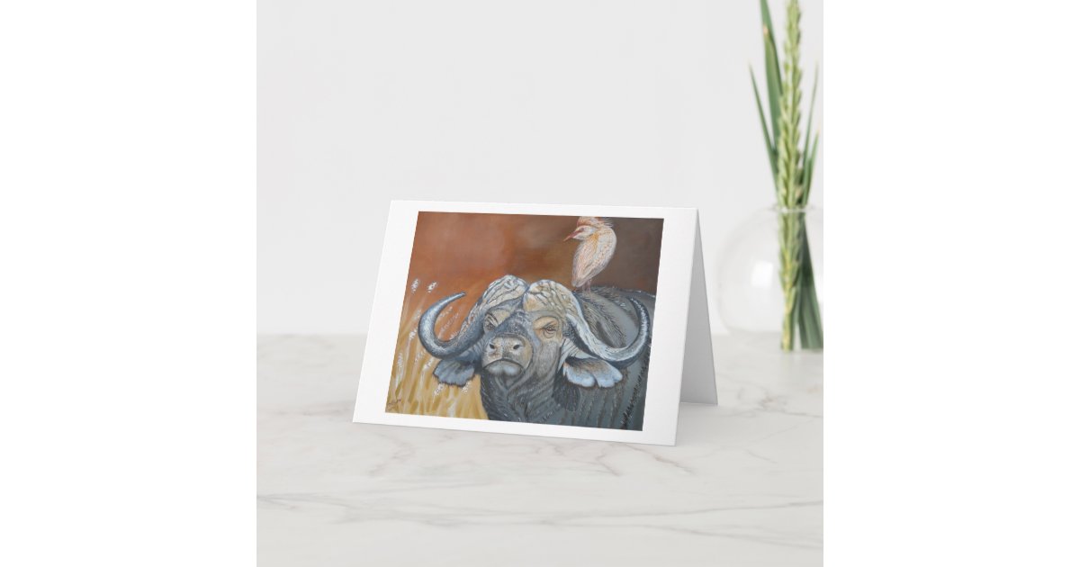 Buffalo Birthday Card | Zazzle