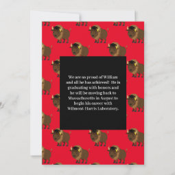 Buffalo Bison Graduation Party Invitation | Zazzle