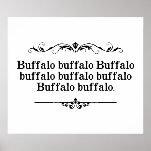 Buffalo Buffalo Sentence Poster | Zazzle