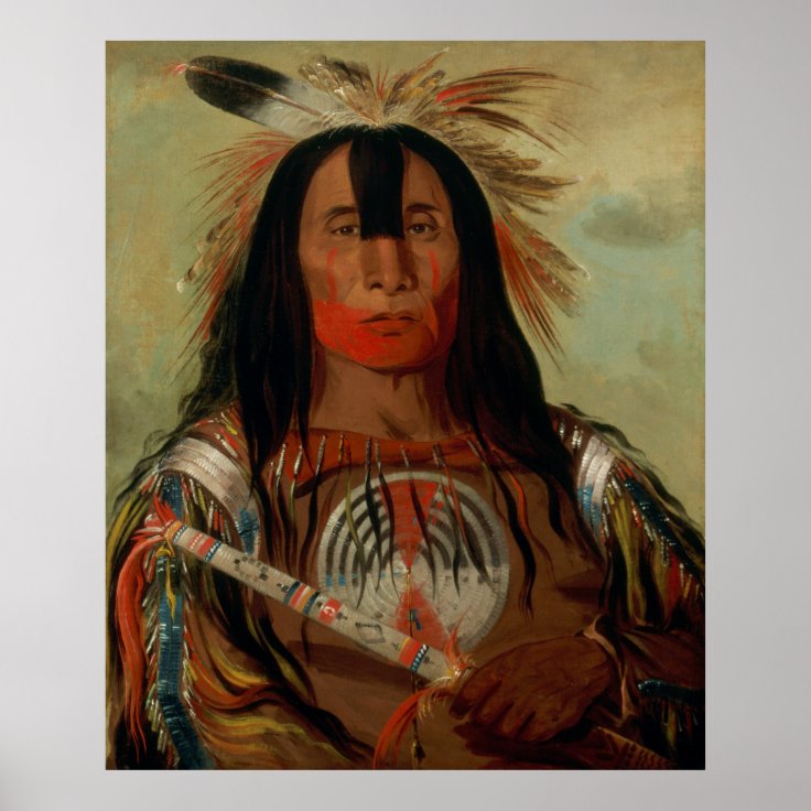 Buffalo Bull's Back Fat Head Chief Blood Tribe Poster | Zazzle