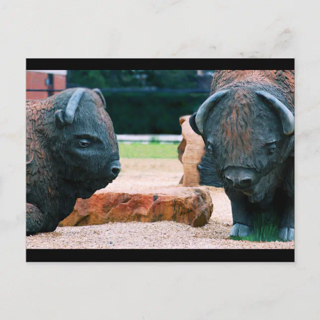 Buffalo NY Postcard | Zazzle