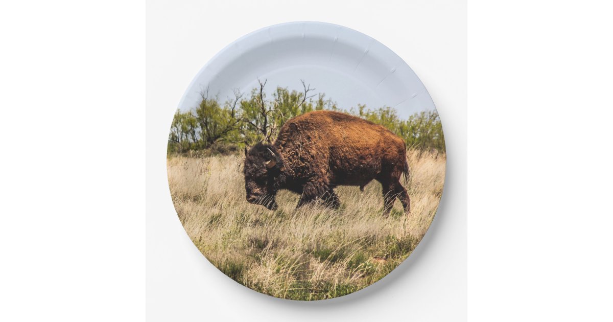 Buffalo Paper Plates | Zazzle