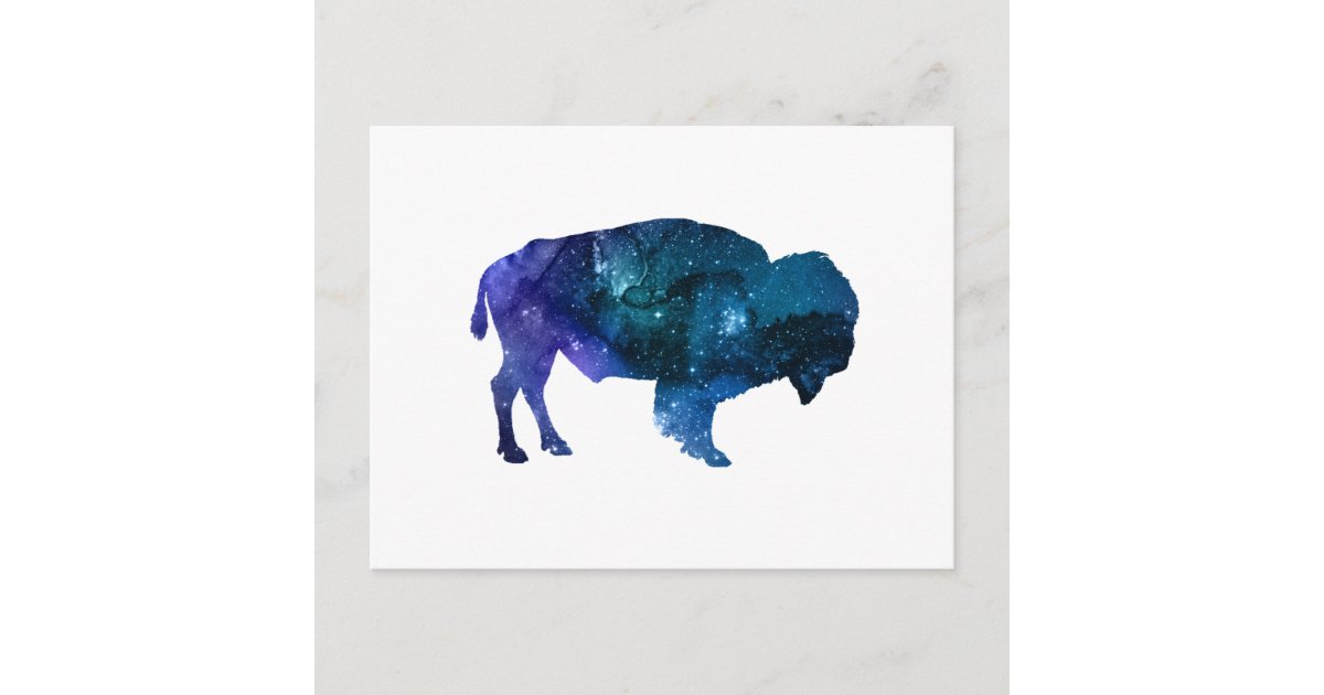 Buffalo Postcard | Zazzle