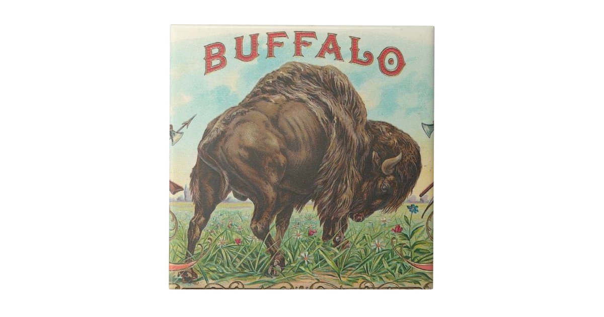 Buffalo Tile | Zazzle